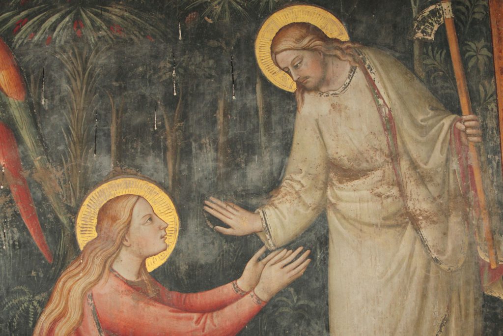 Mary Magdalene – ‘Apostle to the Apostles’ | Archdiocese of Wellington