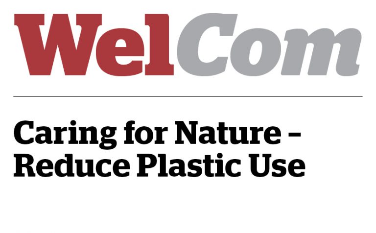 WelCom_placeholder_Nature | Archdiocese of Wellington WelCom_placeholder_Nature | Archdiocese of Wellington