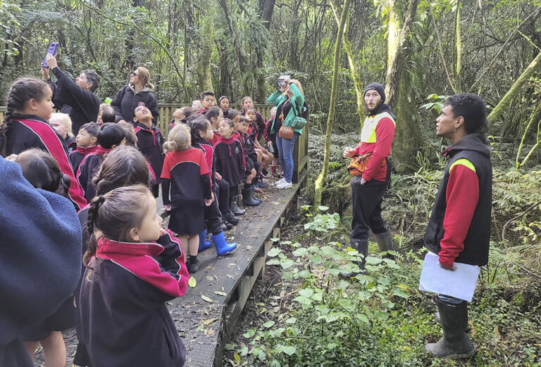 environmental-learning-1000 | Archdiocese of Wellington