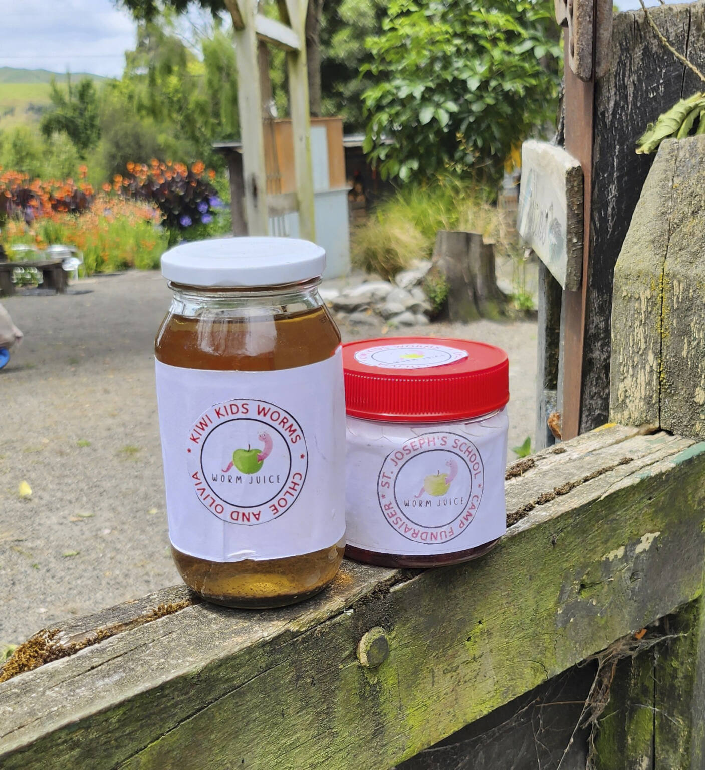 Worm juice fundraiser for country school | Archdiocese of Wellington