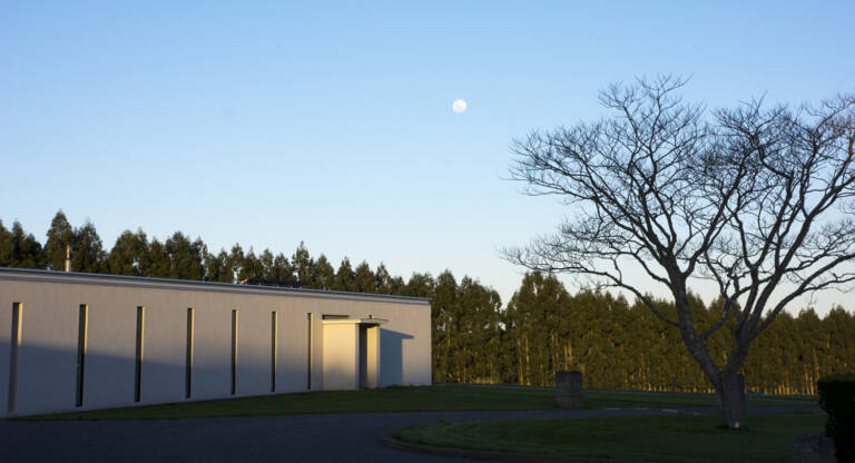 Day of Prayer for Vocations | Archdiocese of Wellington